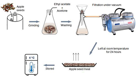 Acidic and enzymatic pre-treatment effects on cold-pressed pumpkin ...