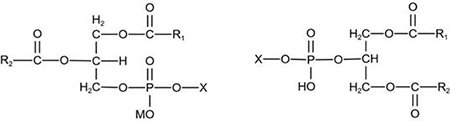 Research progress on the genesis and removal methods of non-hydratable ...